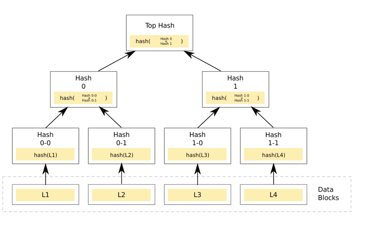 Merkle Tree (Cây Merkle) là gì? – CryptoViet